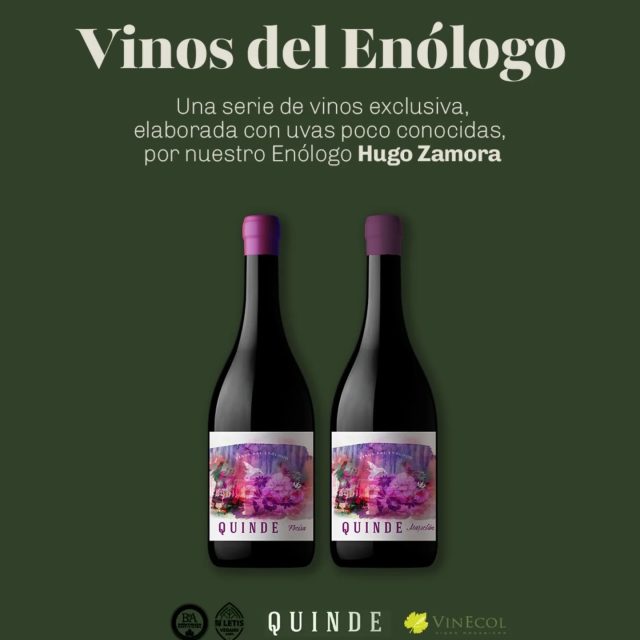 Vinecol S.A. – vinos orgánicos de argentina